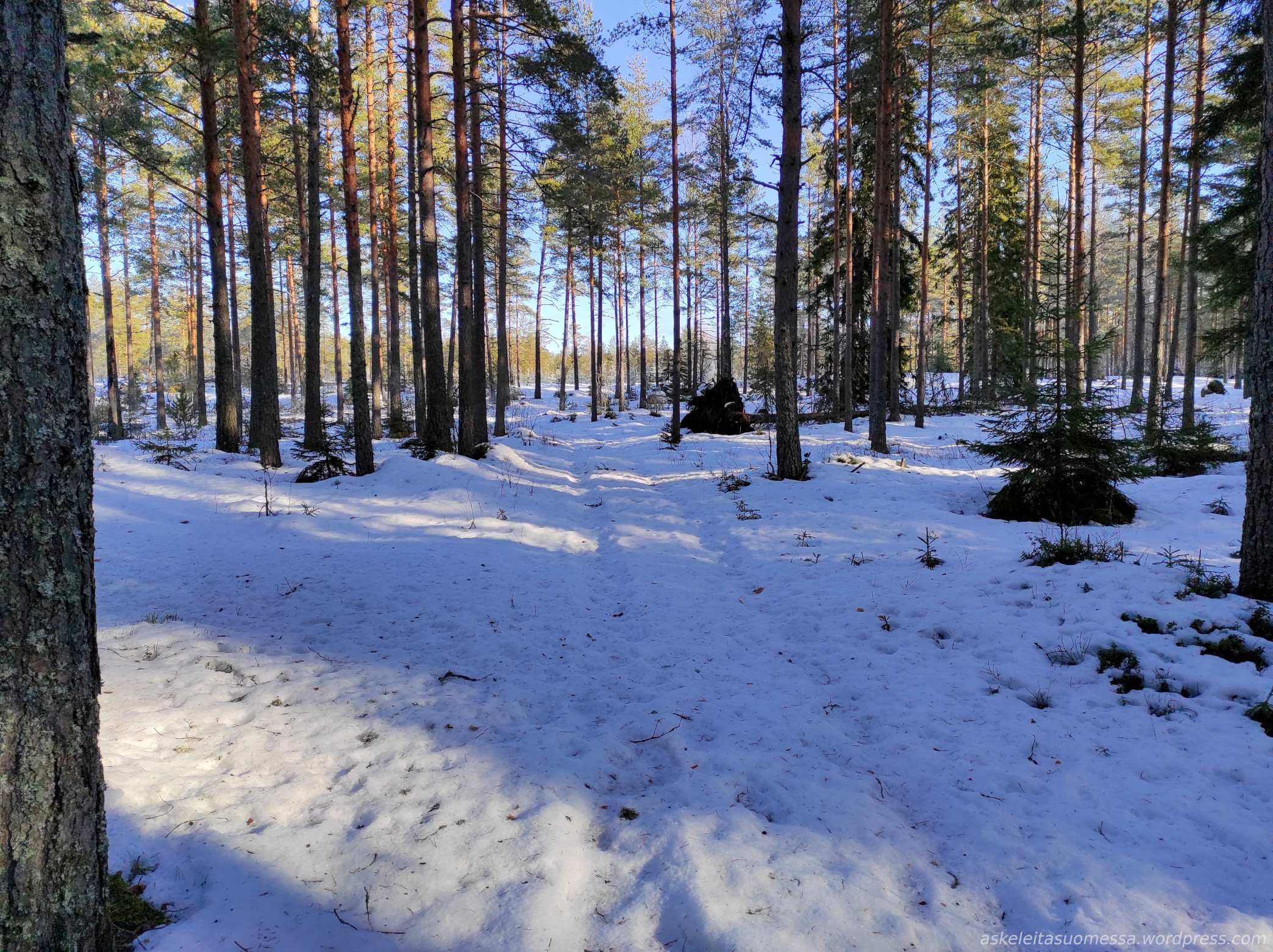 Kauklaistenjärven lintutorni ja Kirkkopolku (Lappi, Rauma) | Retkeilyä ...