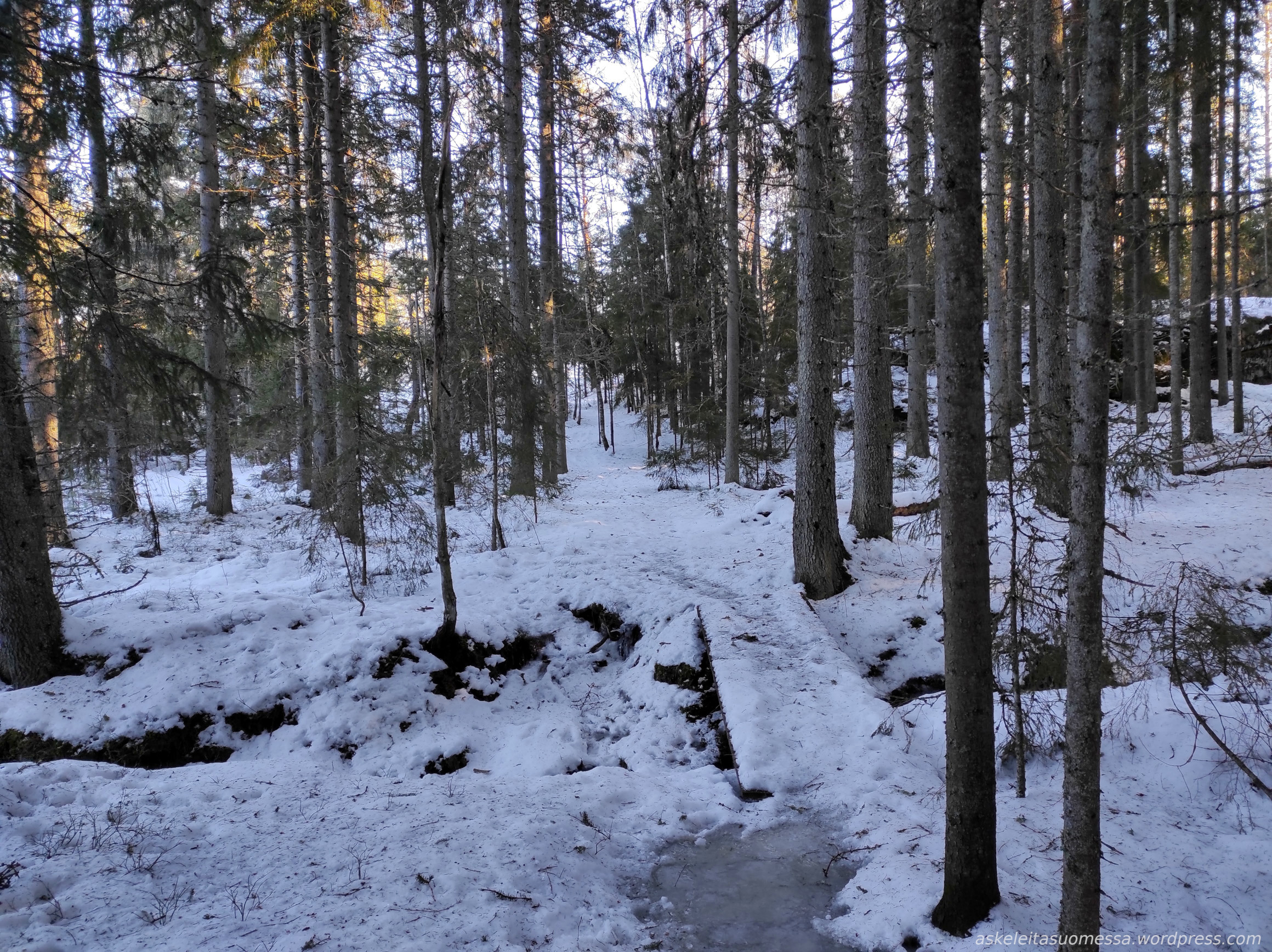 Kauklaistenjärven lintutorni ja Kirkkopolku (Lappi, Rauma) | Retkeilyä ...