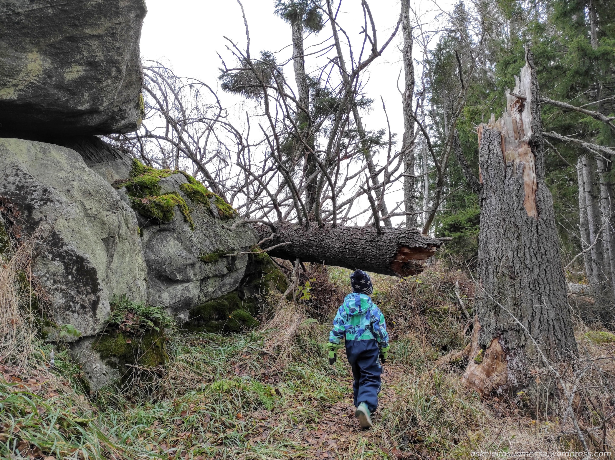 Vaarin maisemapolku (Ahlainen, Pori) | Retkeilyä Satakunnassa ja ...