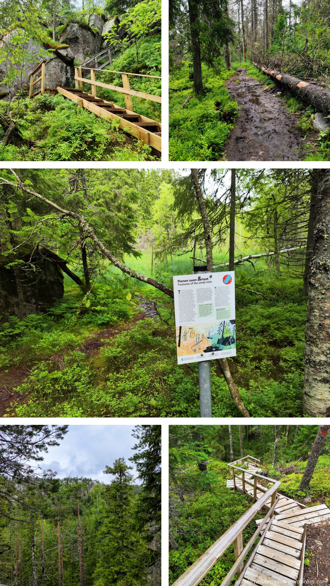 Kolin kansallispuisto | Retkeilyä Satakunnassa ja muualla Suomessa