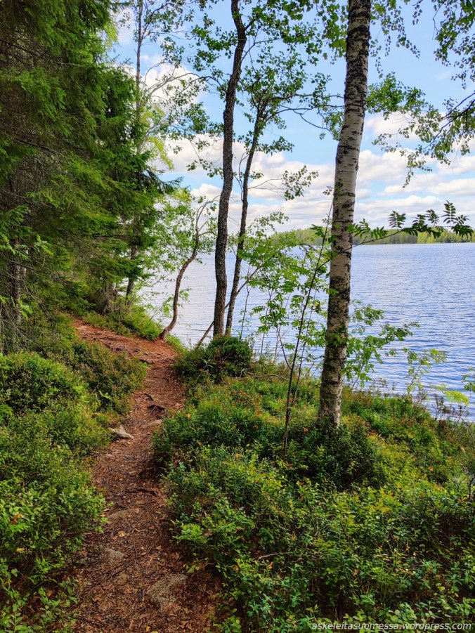 Isojärven kansallispuisto (Kuhmoinen) | Retkeilyä Satakunnassa ja ...