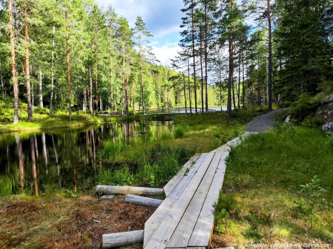 Isojärven kansallispuisto (Kuhmoinen) | Retkeilyä Satakunnassa ja ...